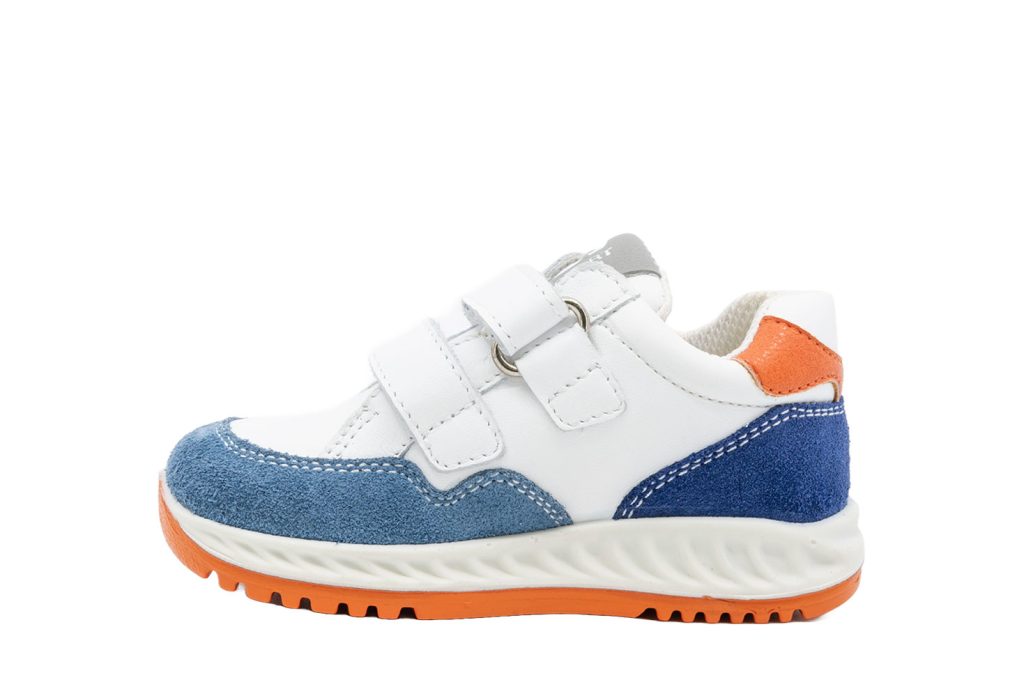 Web Shop – CICIBAN